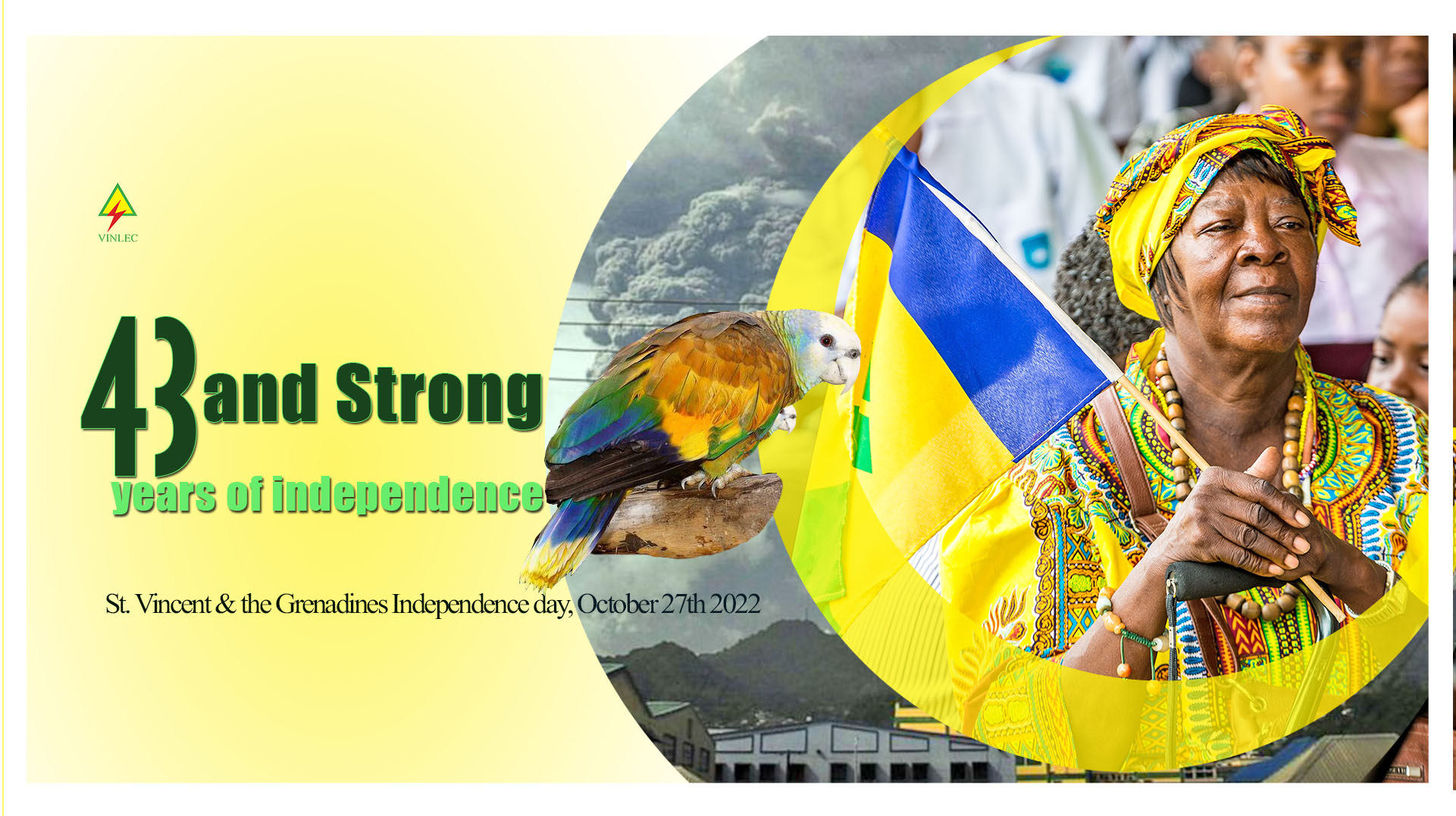 Vinlec - St. Vincent Electricity